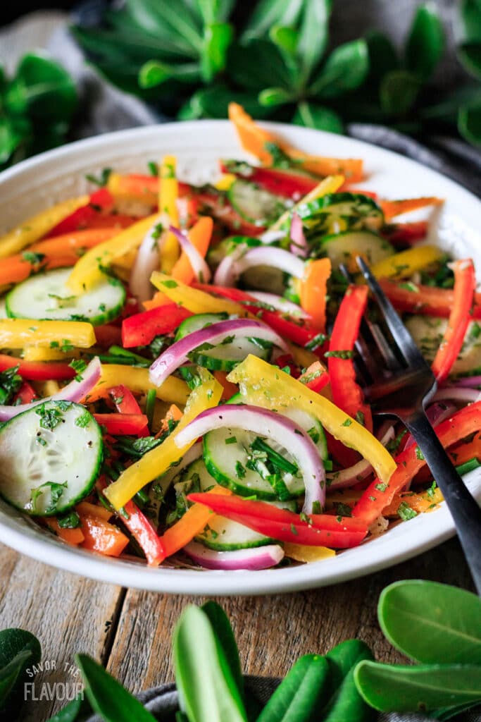 Bell Pepper Salad Recipe - Savor the Flavour
