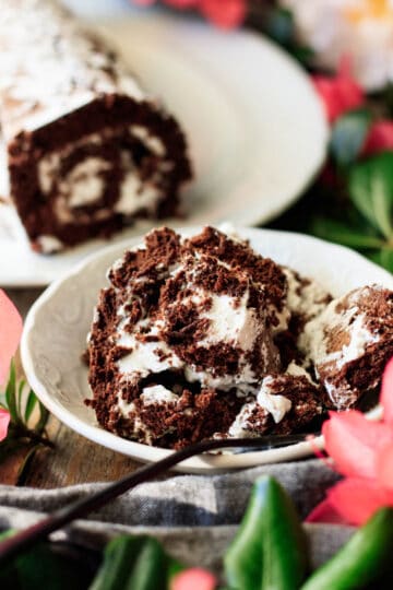 Chocolate Roulade - Savor the Flavour