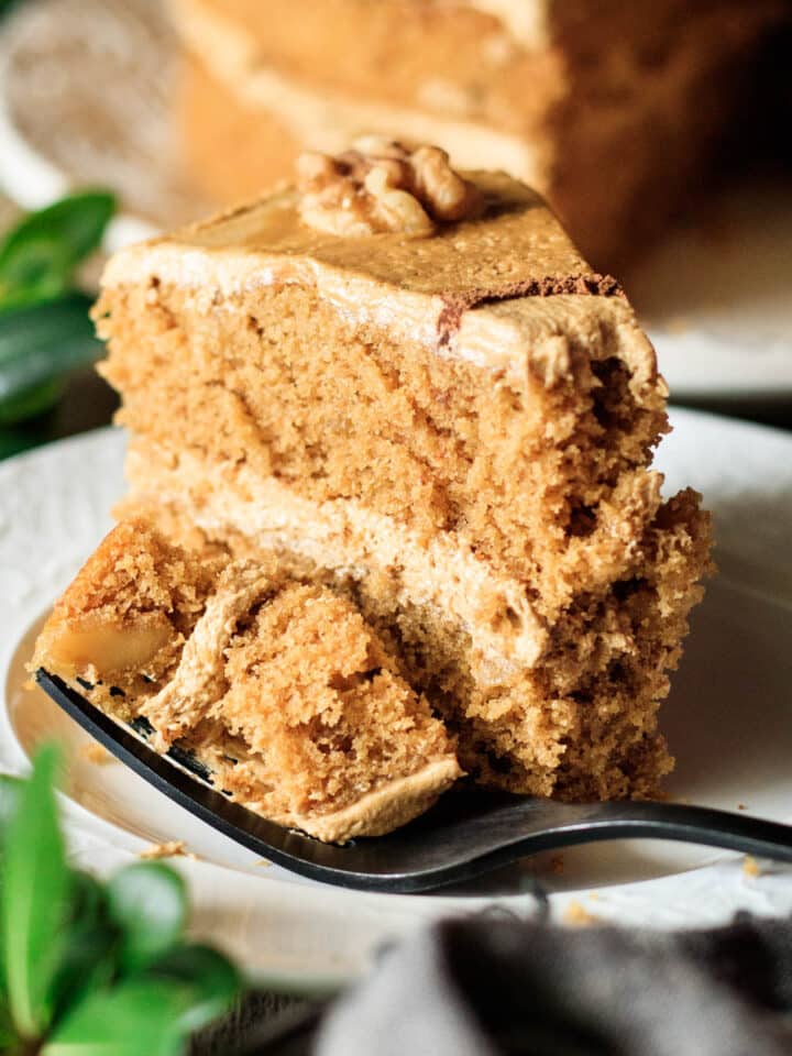 Cake Recipes - Savor the Flavour
