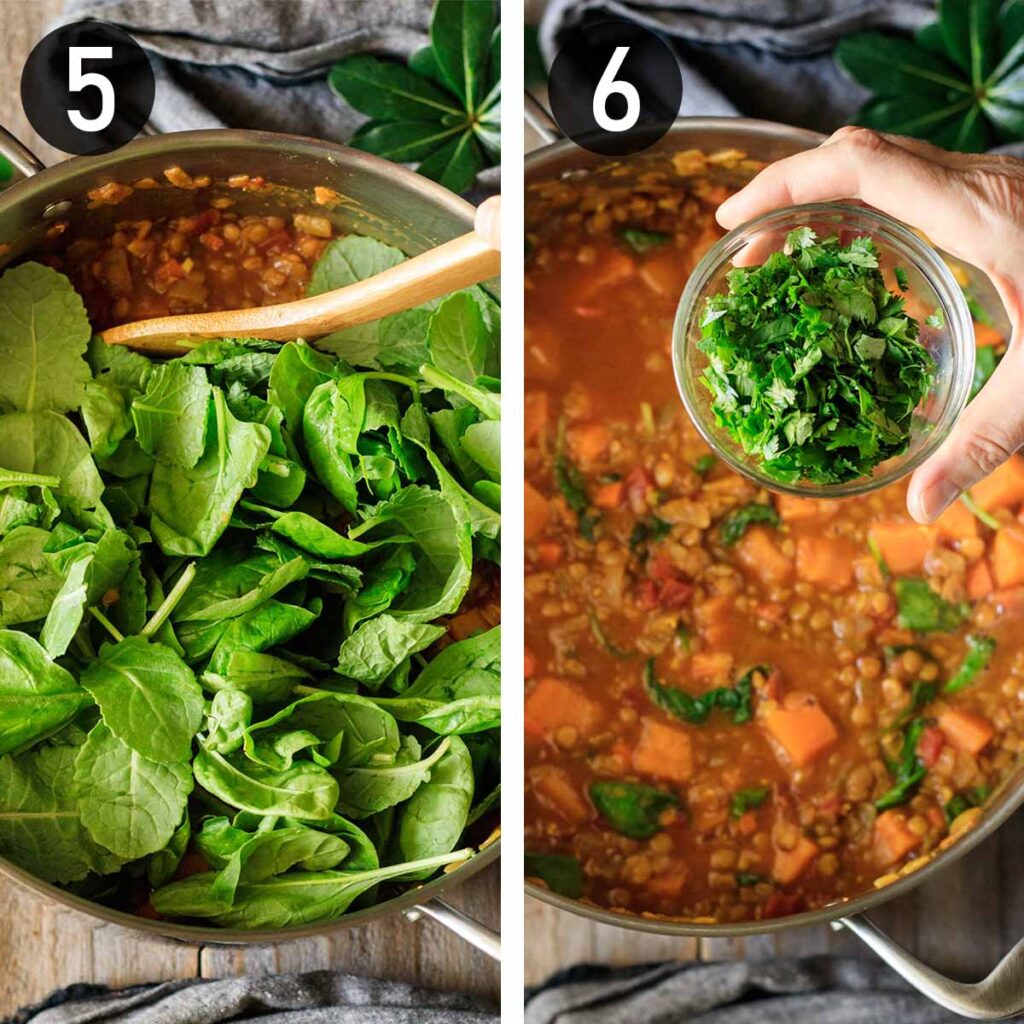 Moroccan Lentil Stew - Savor the Flavour