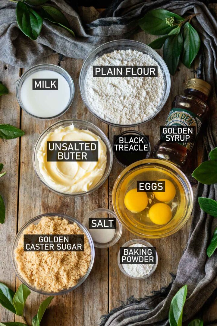 Treacle Sponge Pudding - Savor the Flavour