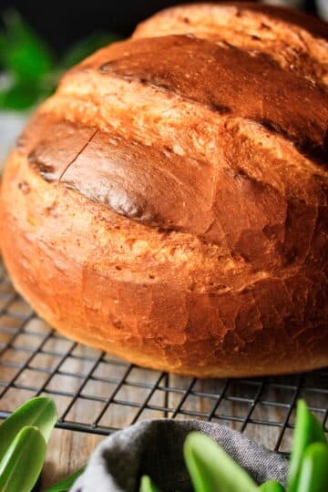 Easy Cob Loaf Recipe - Savor the Flavour