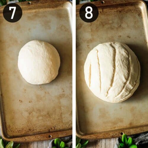 Easy Cob Loaf Recipe - Savor the Flavour